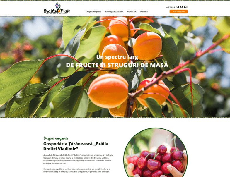 Portfolio de proiectare, dezvoltare si promovare a site-urilor in Moldova